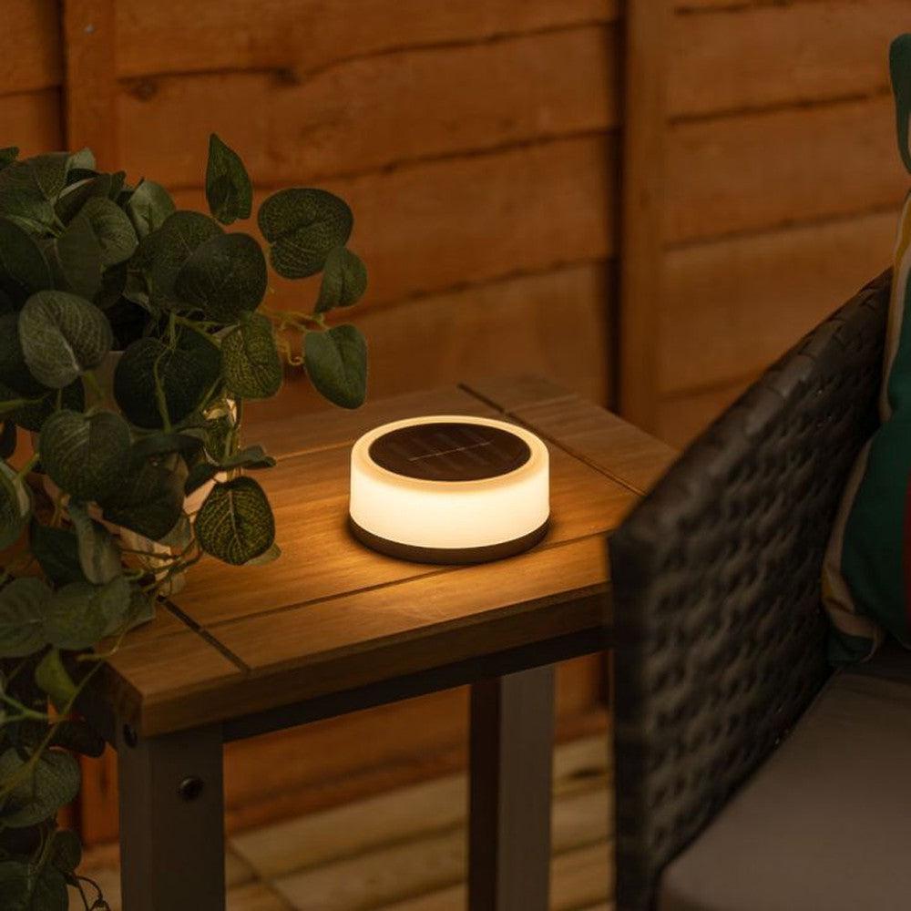 x4 Decking & Table Top Solar Lights – Nest & Flowers