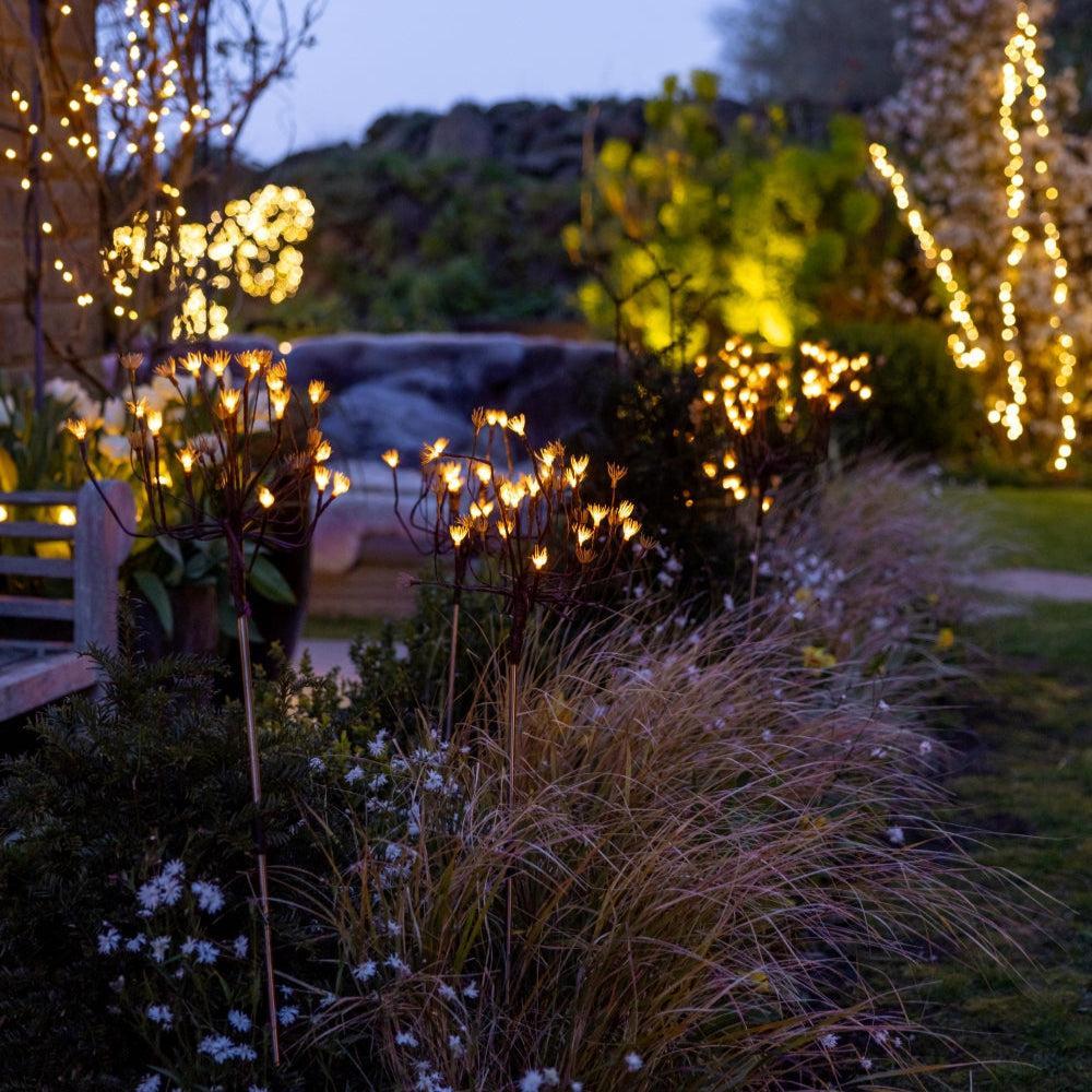 x6 Wild Fennel Lights – NEST & FLOWERS